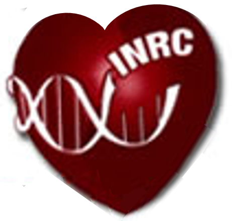 APPROCCIO ALLE DISLIPIDEMIE: STATO DELL’ARTE - inrc - Istituto ...